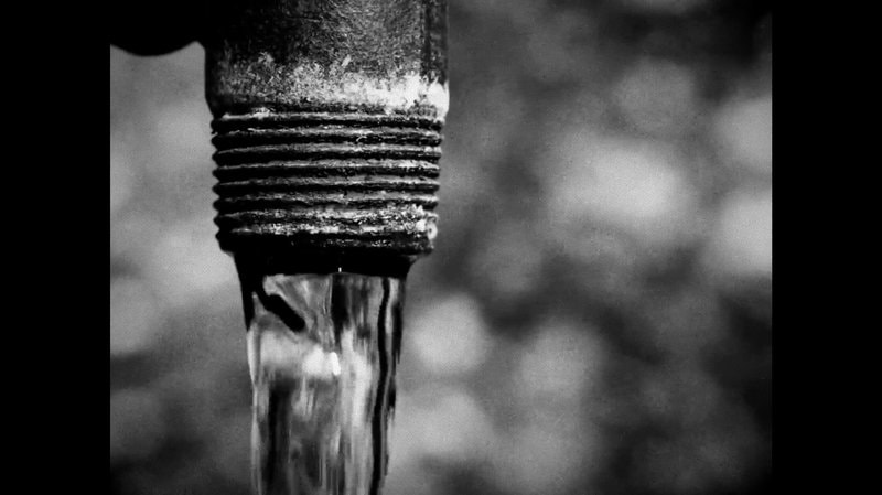 HORSES Review | GameQuarter